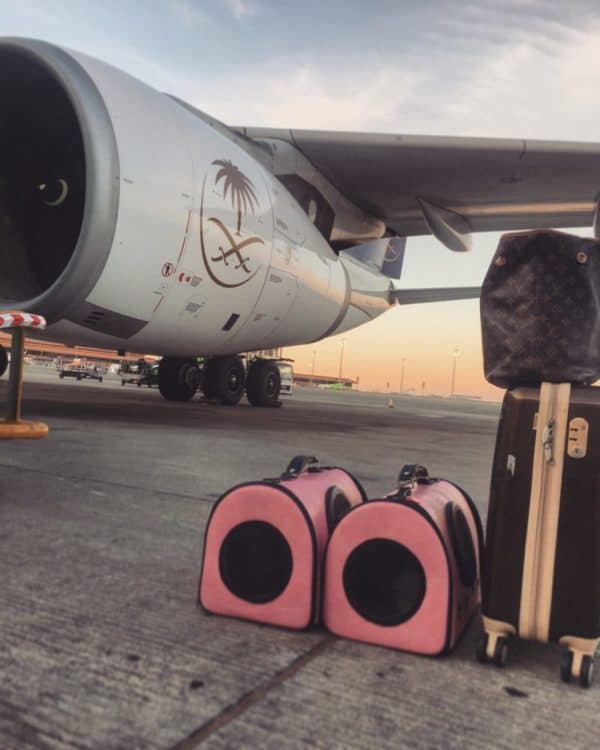 Shattaf meaning: The Middle Eastern Bidet & how to use it