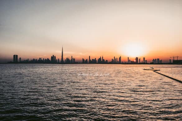 Middle East Bidet and why you need it! Explaining the awesome Shatafa ...