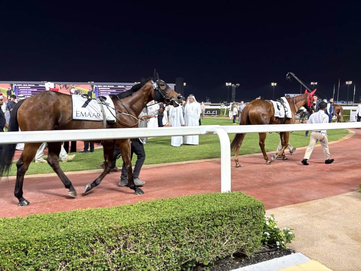 Best horse racing Events in Dubai from a local (2025)